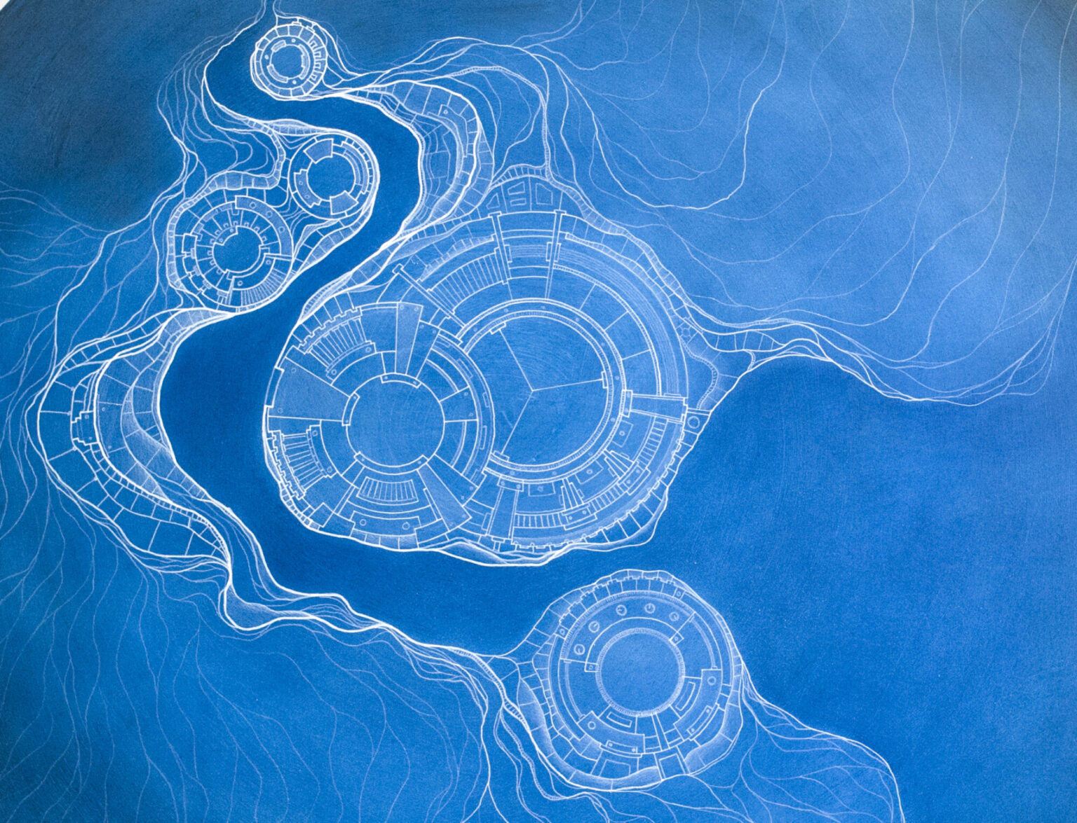 Katie Shima – FINE ART